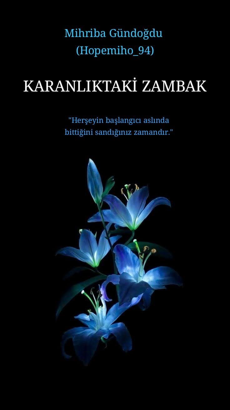 Mihribanızmmm / KARANLIKTAKİ ZAMBAK (MAFYA) / KİTAP BİLGİLERİ