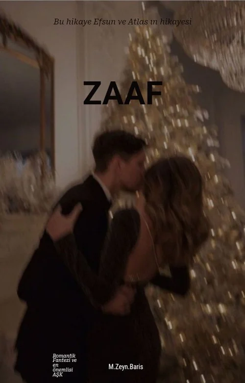 Silinen Kullan?c? / ZAAF 18