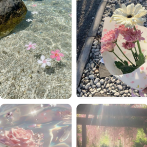 Sunset For Freedom (@sunsetforfreedom)